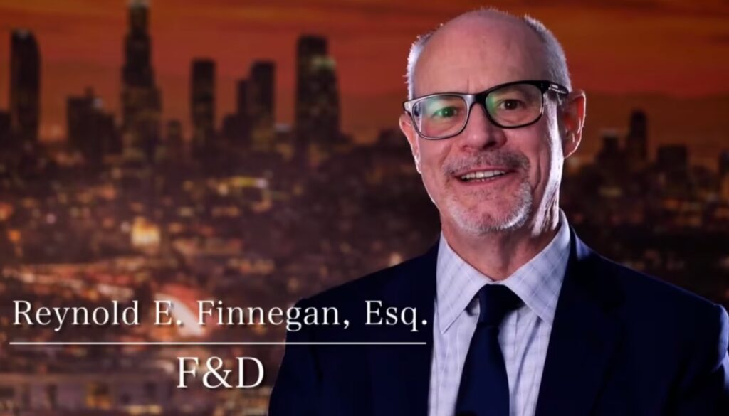 The Team - Finnegan & Diba Legal